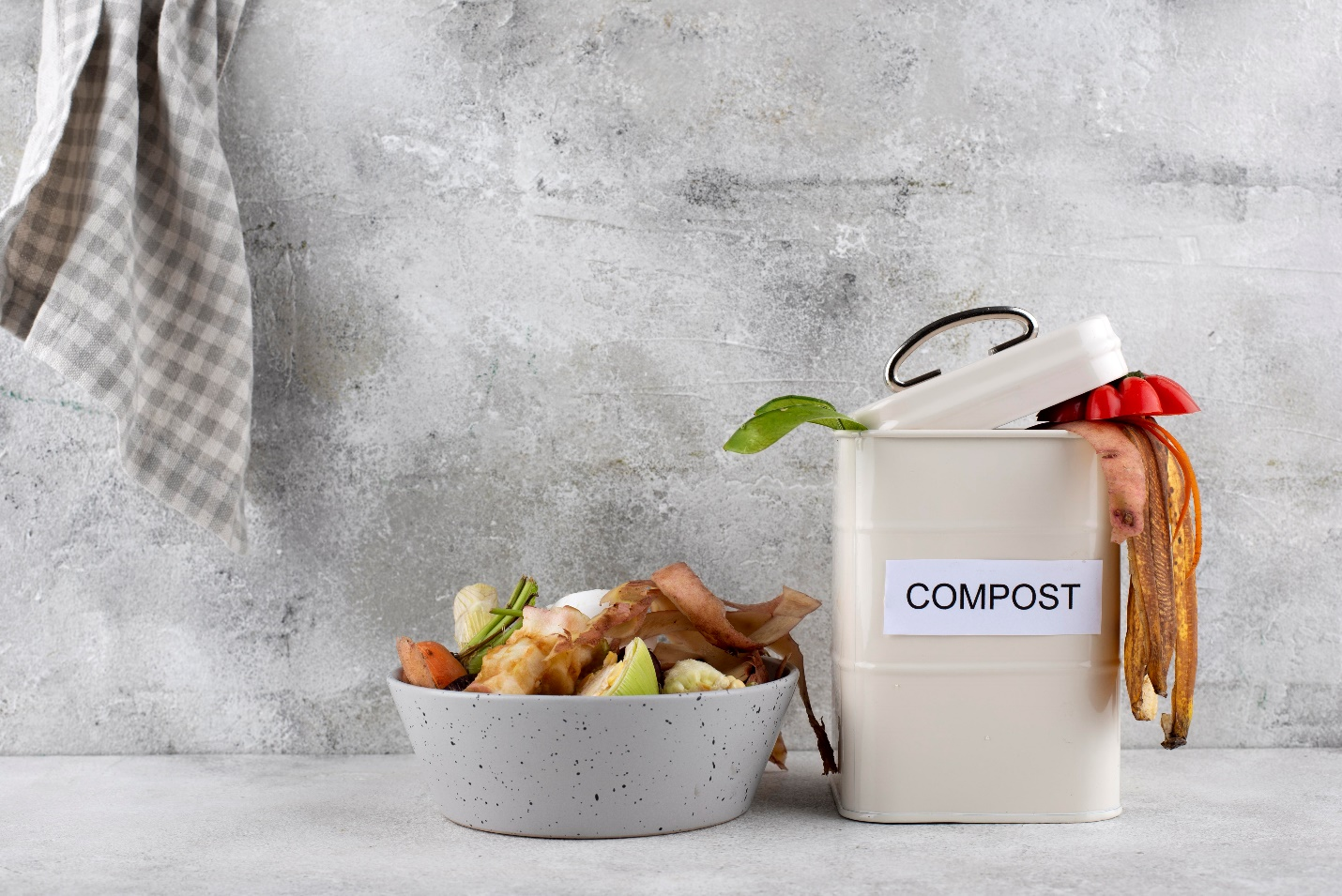 How To Use A Compost Bin At Home? – thinKitchen